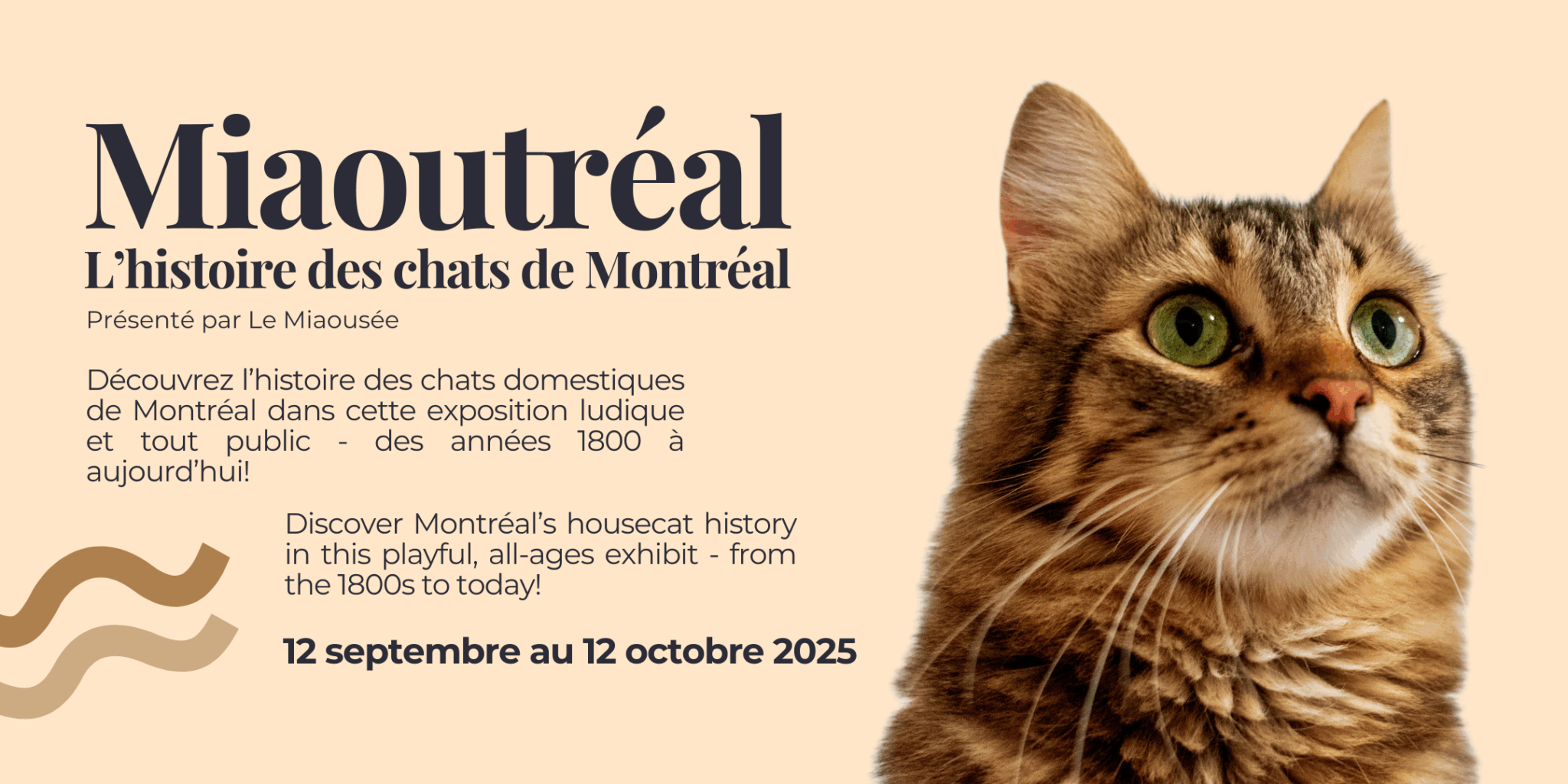 Le Miaousée – Montréal Cat Museum